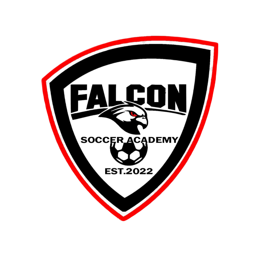 FALCON SA 2013